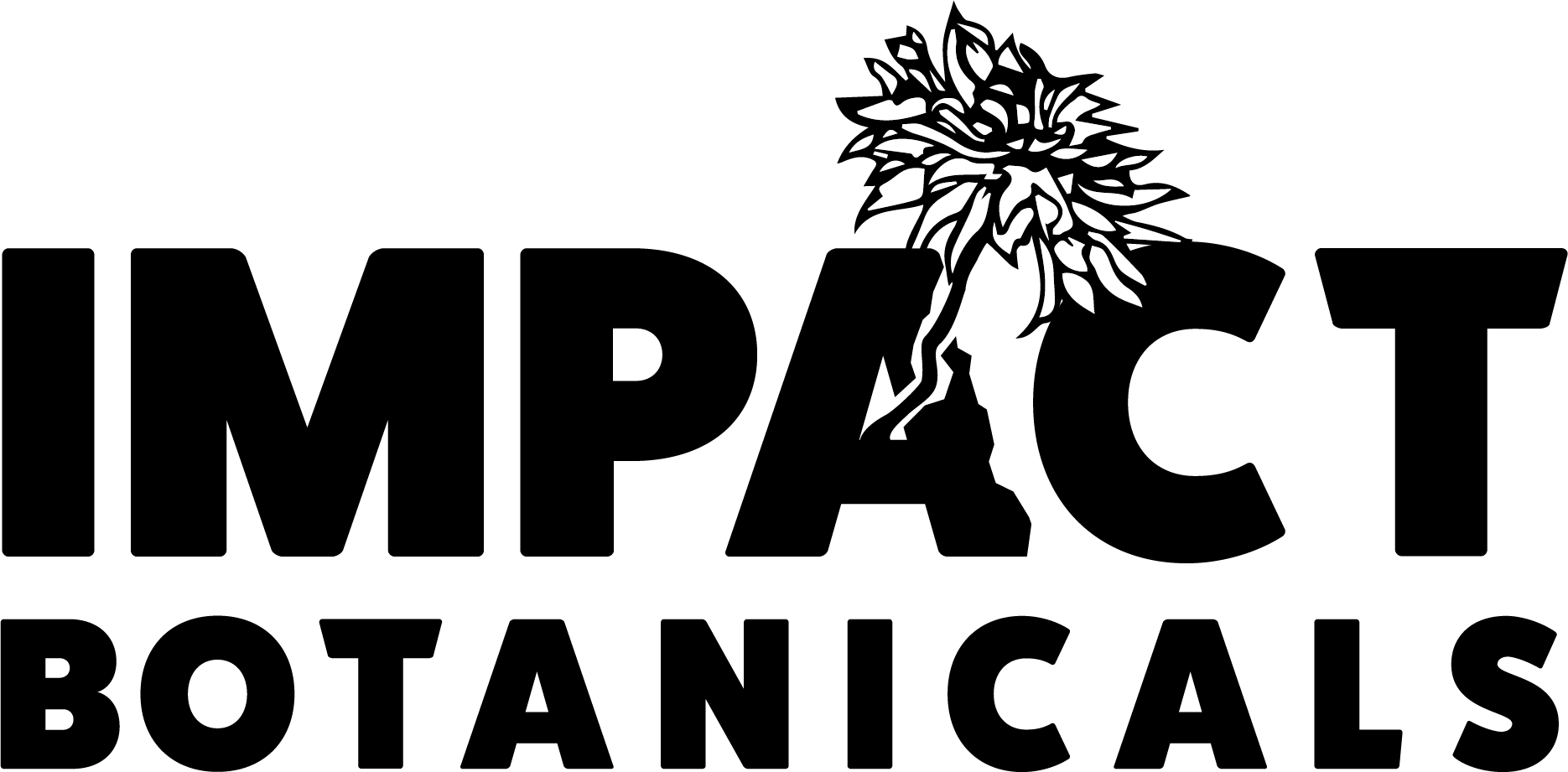 Botanicals Logo A New Look For A New Season – The Botanical Candle